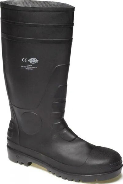 Safety Wellington Boot Dickies / Buy Online